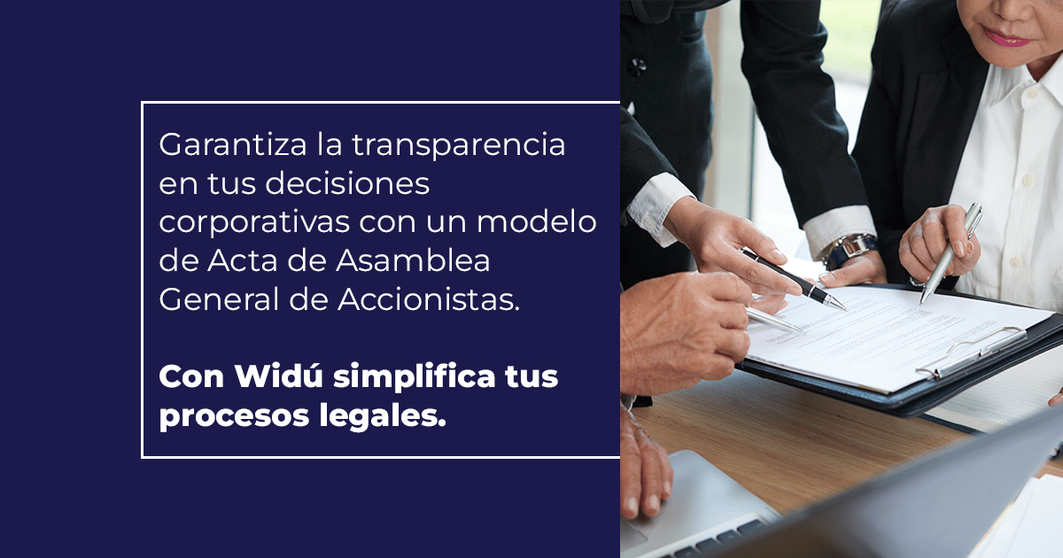 Acta de aprobación de estados financieros (modelo) | Widú Legal